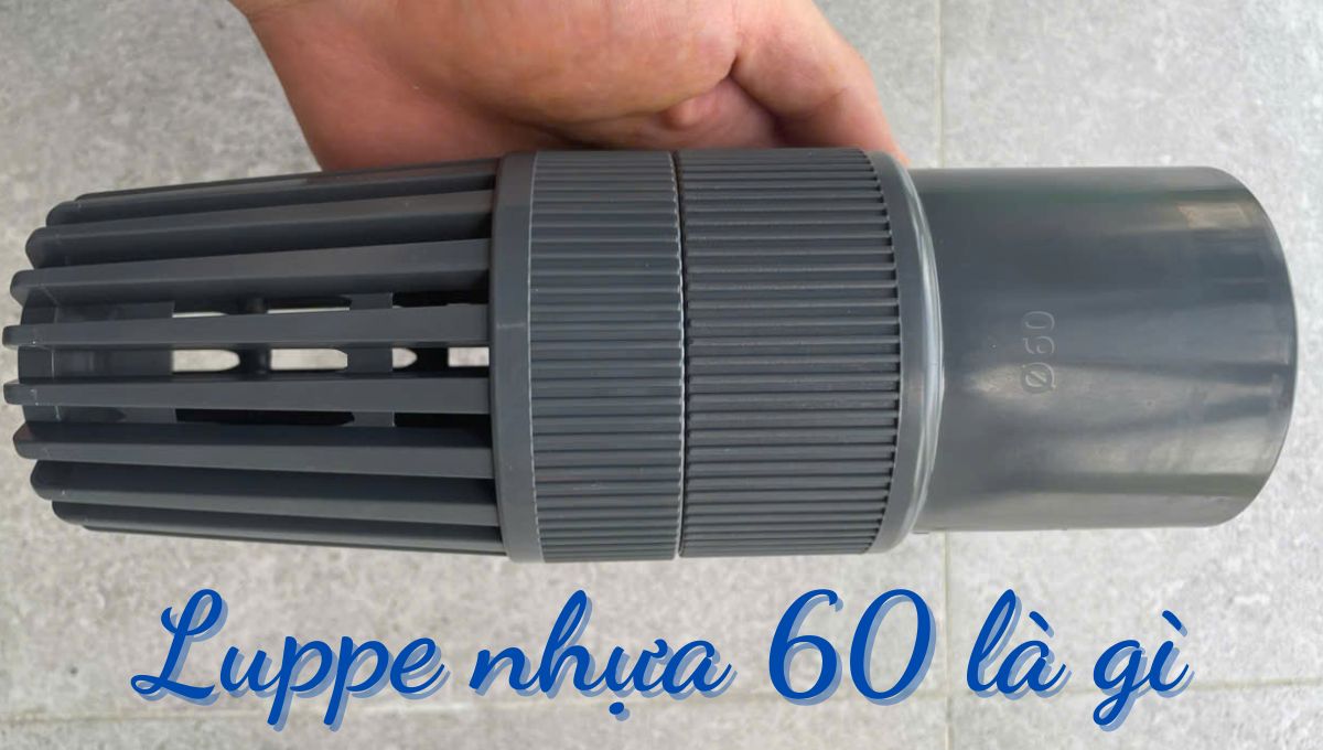 2 chủng loại luppe nhựa 60 thường gặp trên thị trường