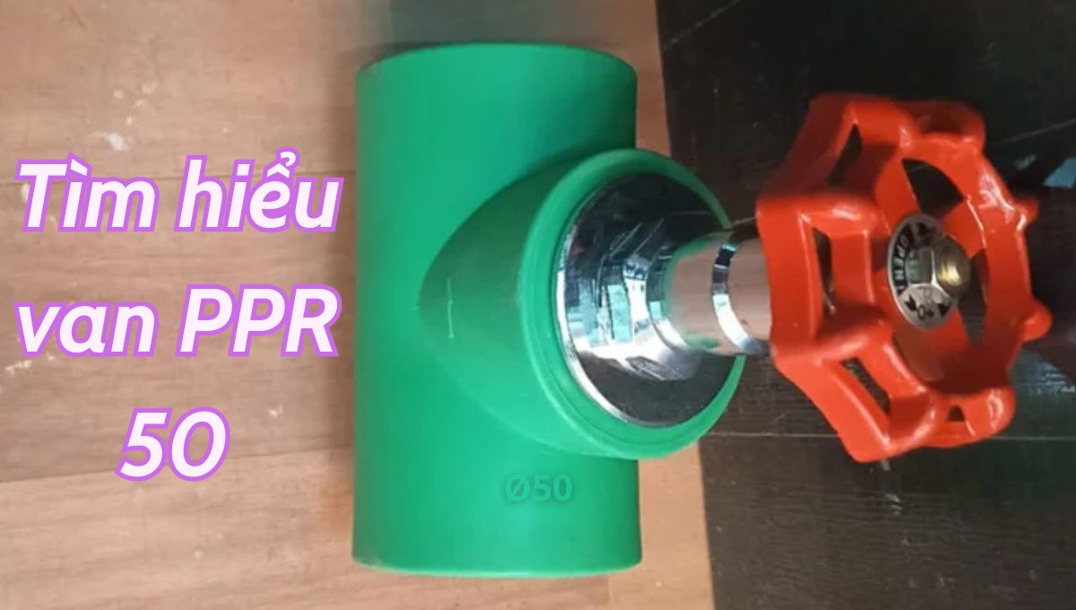 Van PPR 50 - 5 thông tin hữu ích cho khách hàng
